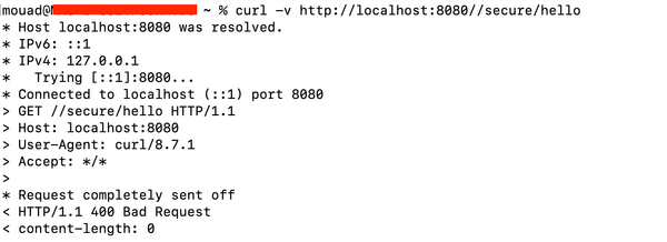 Spring WebFlux Authorization Bypass: CVE-2024-38821 Explained